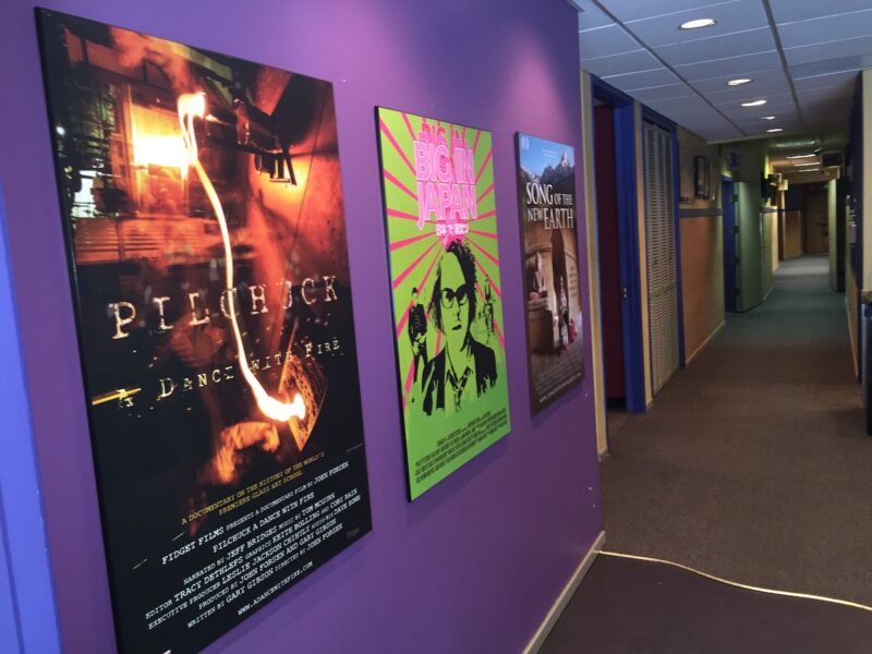 History | Bad Animals